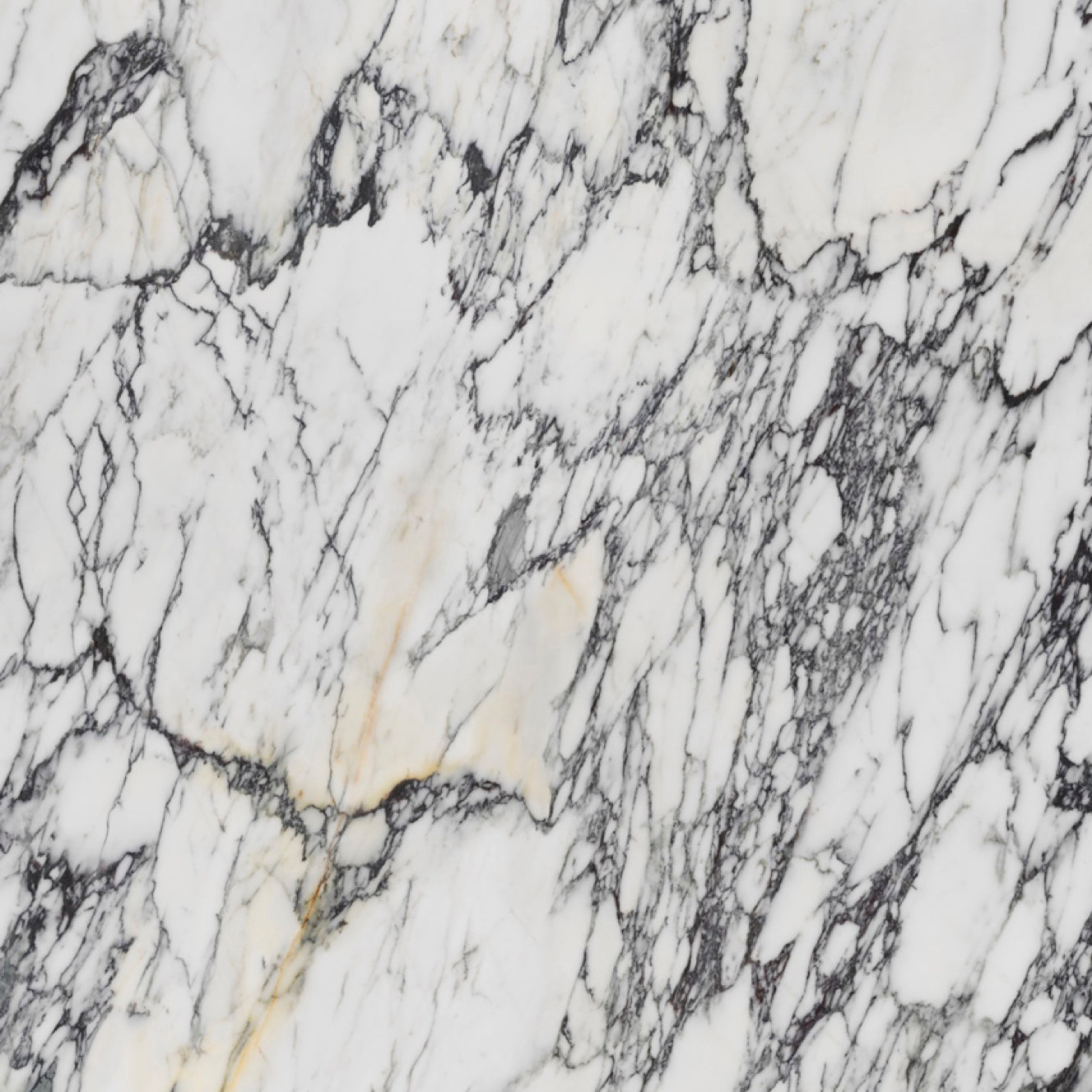 Ballop Translucent Porcelain slab 1600x3200x12mm | Fantaci interiors