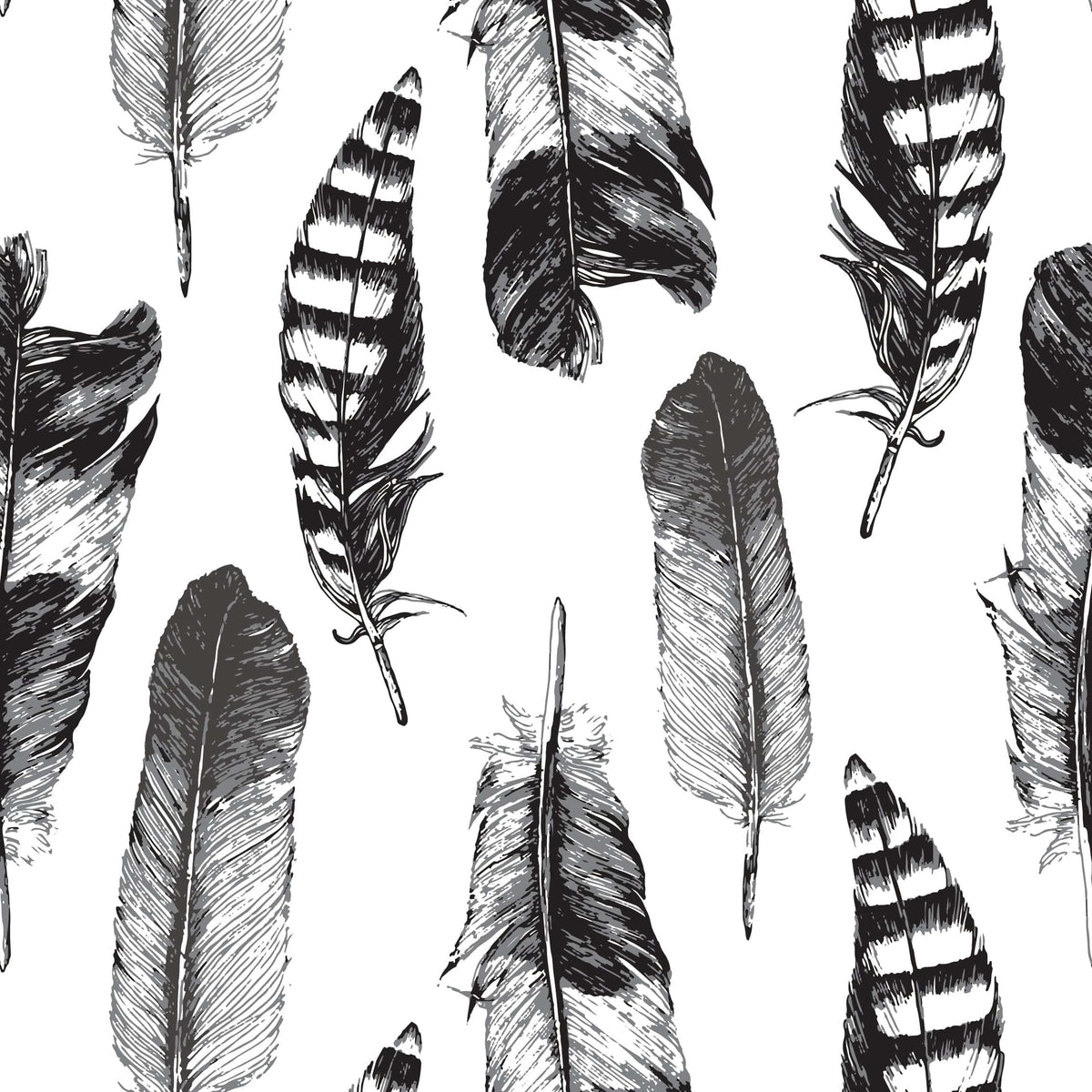 Shop Black And White Feather matt 800x1400x6mm Online | Fantaci ...